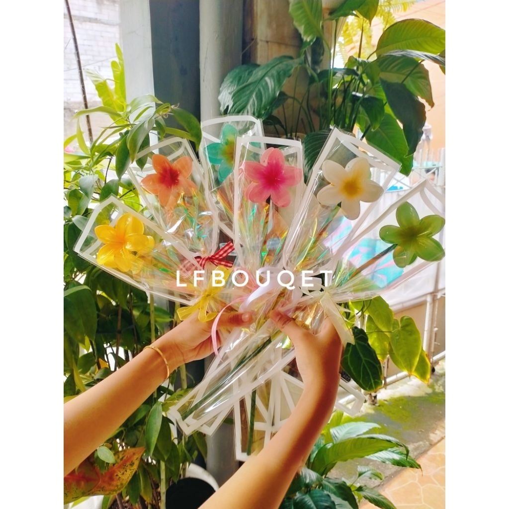 Jual BUCKET KAMBOJA HAIRCLIP BUCKET BUNGA KAMBOJA BUCKET JEDAI BUCKET ...