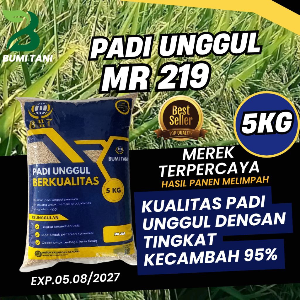 Jual Biji Padi bibit Padi MR219 terbaru Kemasan 5kg | Shopee Indonesia