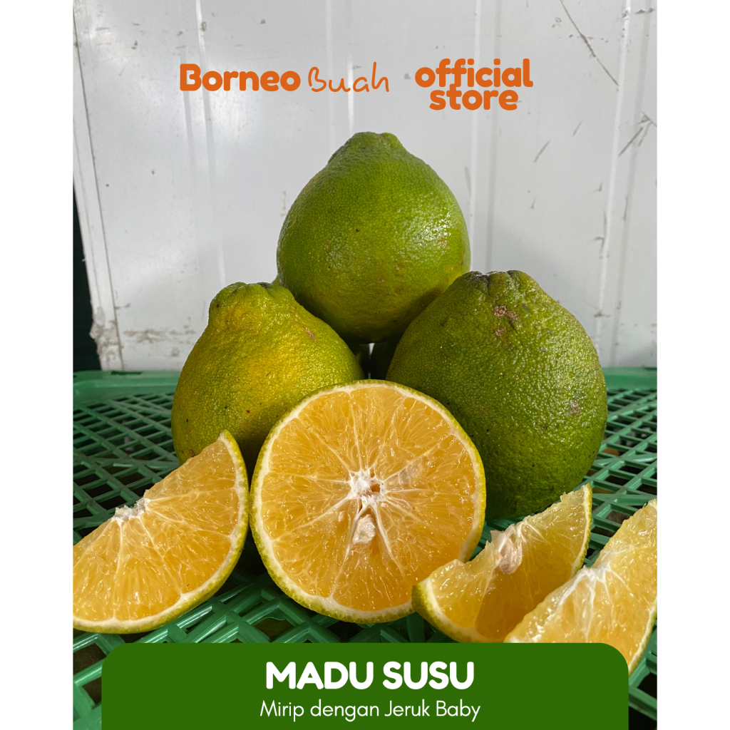 Jual Jeruk Madu Susu Pontianak (mirip Jeruk Baby) | Shopee Indonesia