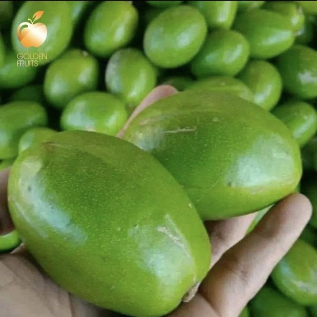 Jual Buah kedondong fresh 1 kg | Shopee Indonesia