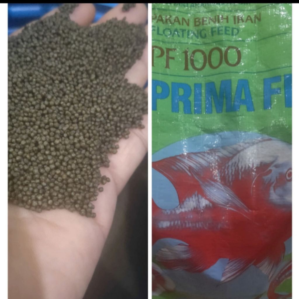 Jual Pelet PF 1000 Repack 1 kg | Shopee Indonesia