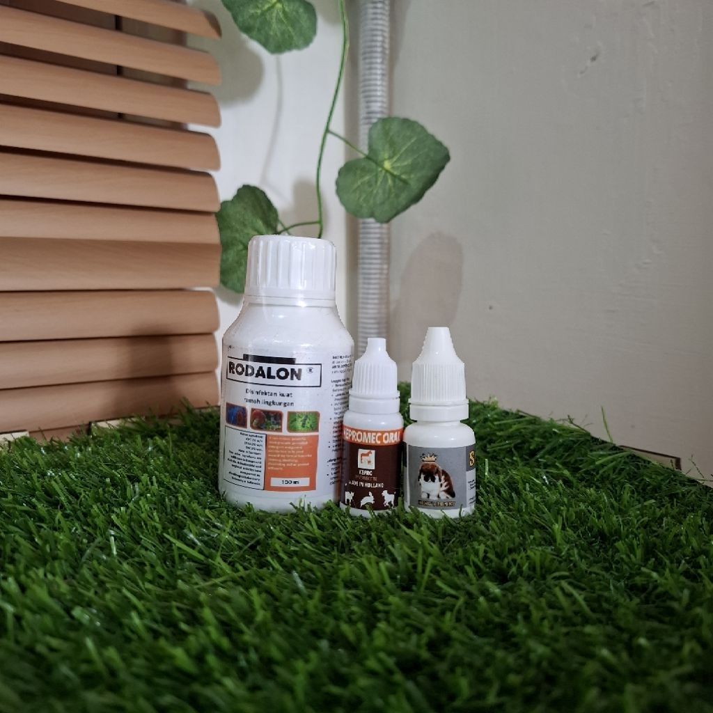 Jual Paket obat SCABIES combo | Shopee Indonesia