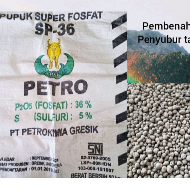 Jual PUPUK SP-36 REPACK 1 KG PEMBENAH TANAH PENYUBUR TANAMAN | Shopee ...