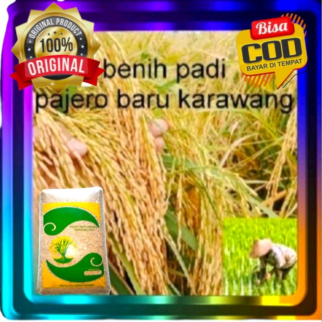 Jual benih padi PAJERO BARU KARAWANG BIJI PADI DI SORTIR 1-3X ...