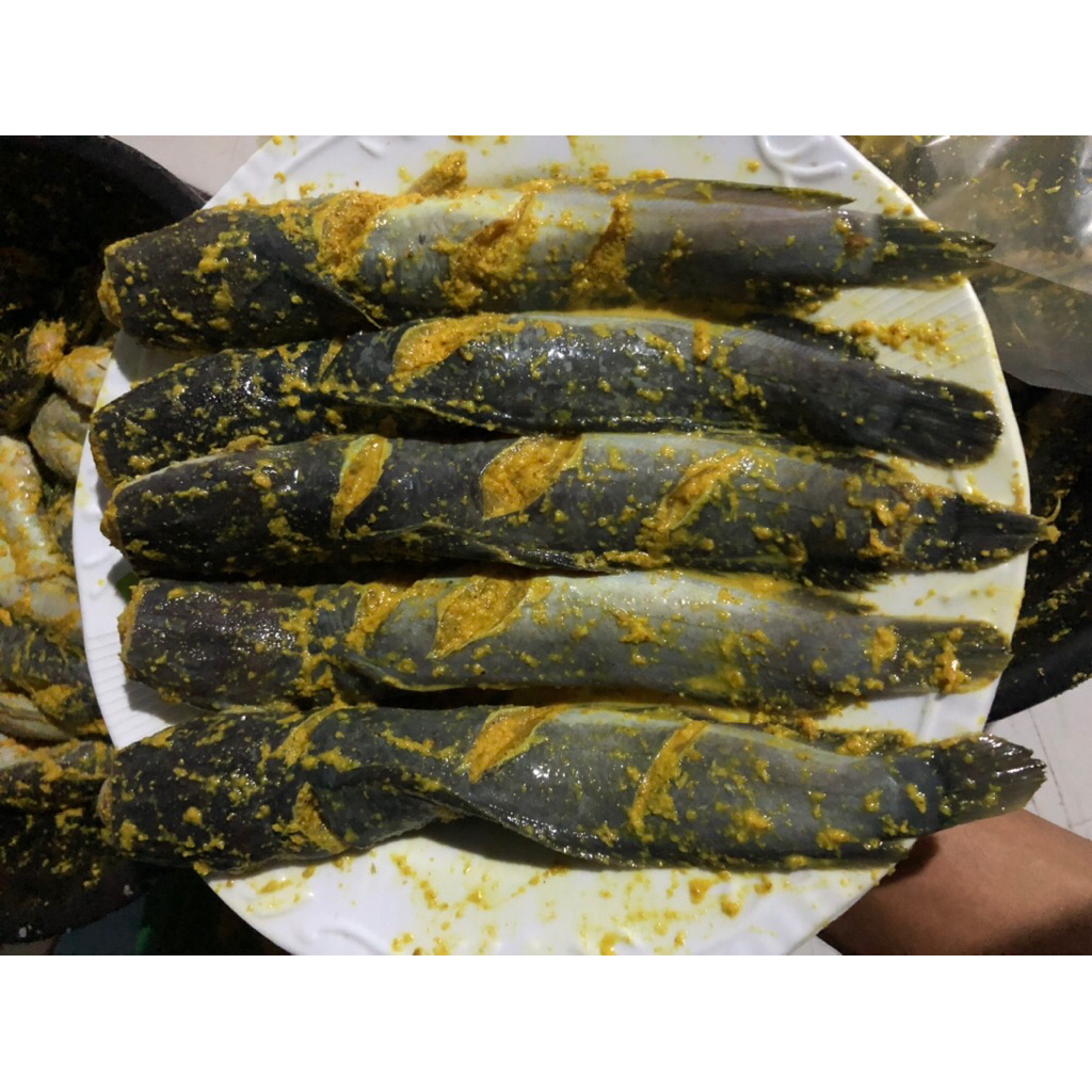 Jual Ikan Lele bumbu marinasi kuning siap goreng/bakar satu pack isi 5 ...
