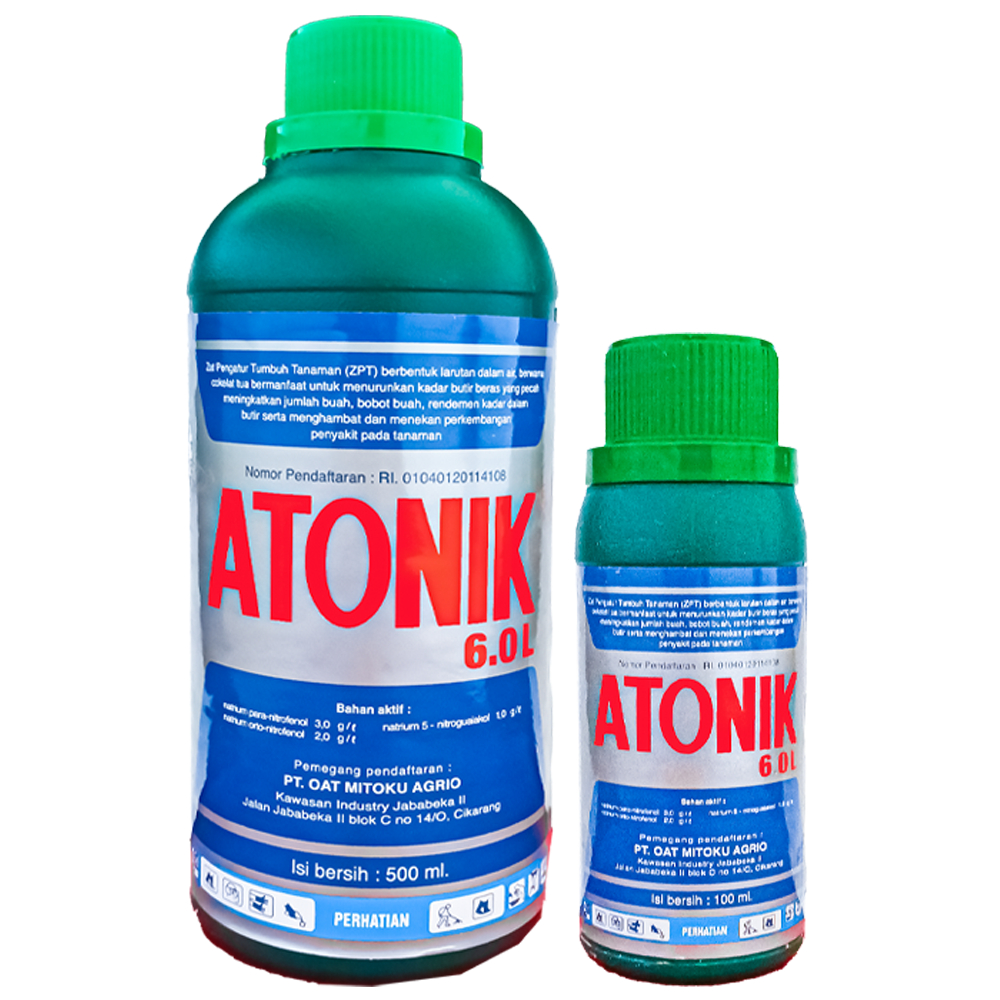 Jual PUPUK ATONIK 6.0 L / ZAT PENGATUR TUMBUH TANAMAN (ZPT) | Shopee ...