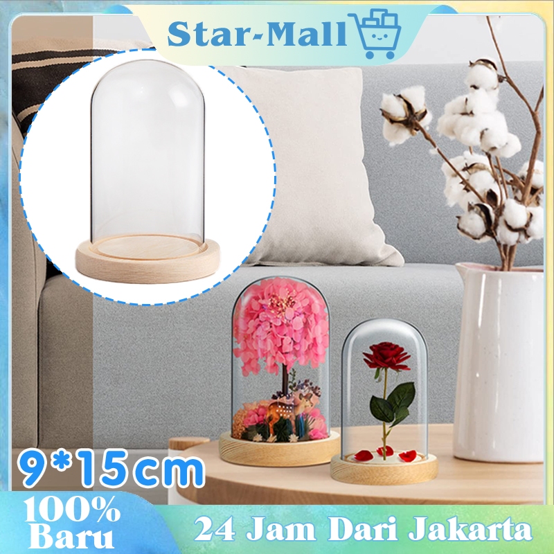 Jual Glass Dome Flower / Terarium Tanaman Kaca / Kotak Transparan ...