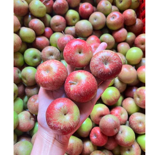 Jual Apel Malang Terlengkap & Harga Terbaru Januari 2026 | Shopee Indonesia