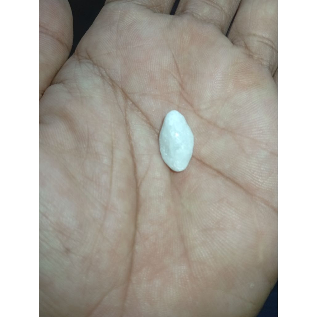 Jual natural alam geliga lingsang putih 77.. | Shopee Indonesia