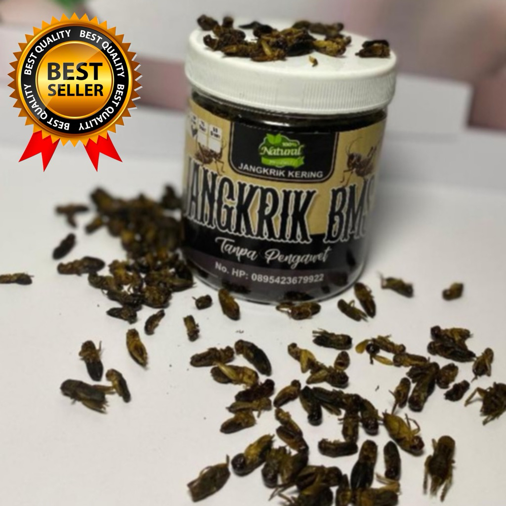 Jual Jangkrik kering 100Gram Tanpa Timbangan toples, Pakan burung ikan ...