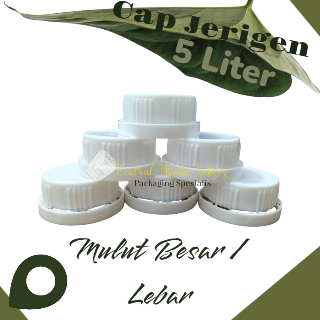 Jual FLASH SALE WHITE Cap Tutup Jerigen Jerrycan 5 Liter Mulut Besar ...