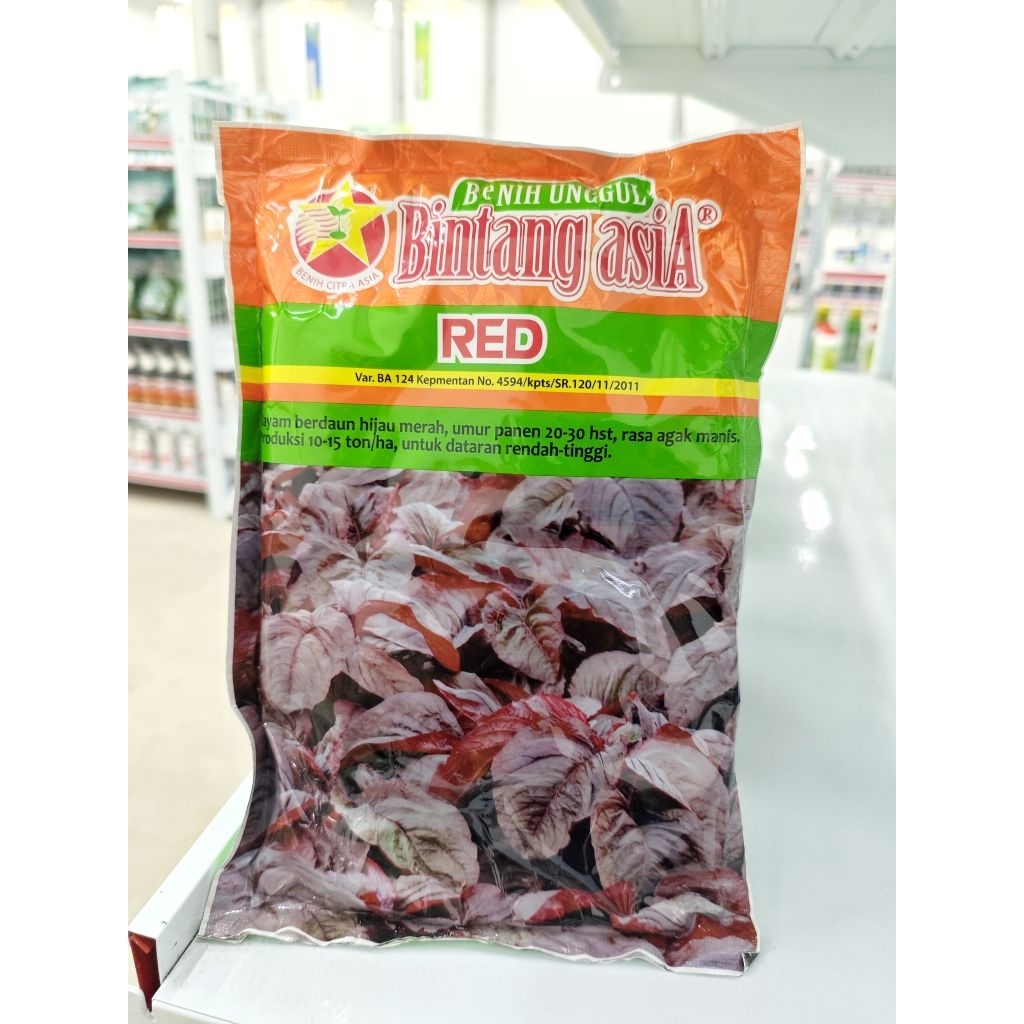 Jual benih bayam merah red bintang asia 500 gr original | Shopee Indonesia