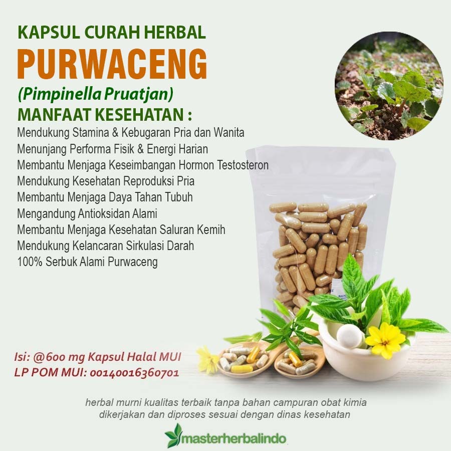 Jual Purwaceng 100 Kapsul Curah Herbal Menjaga Stamina Kebugaran Tubuh ...