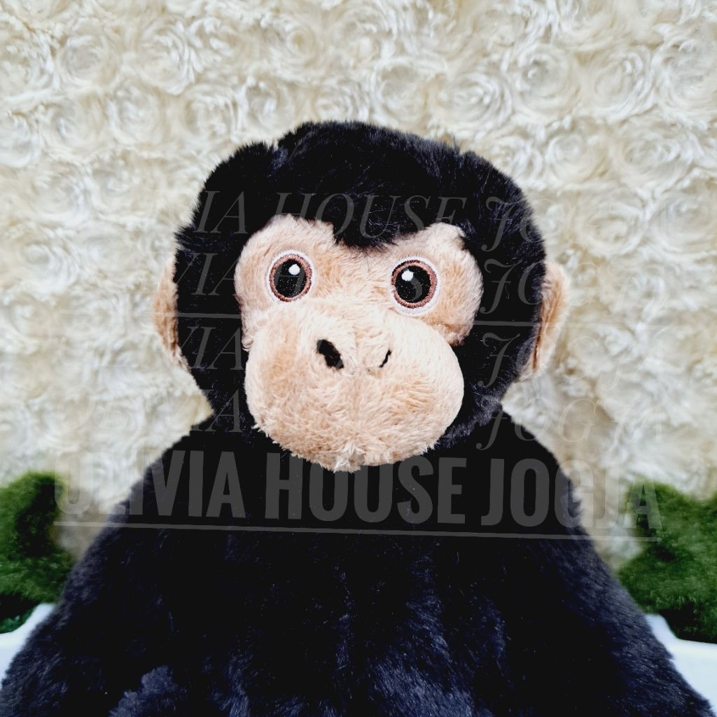Jual Boneka Monyet Coklat Tua Mata Bordir Boneka Monkey Simpanse M ...