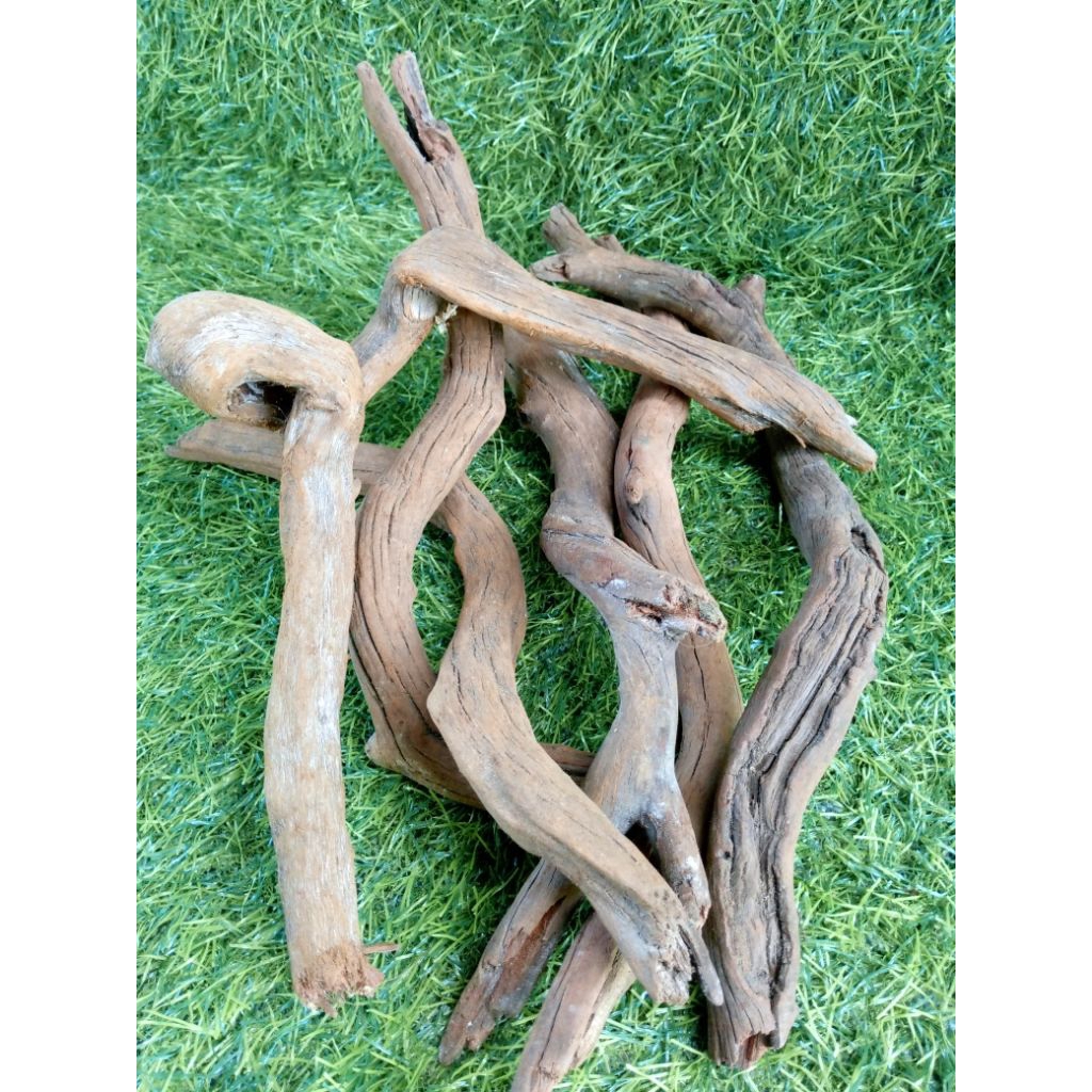 Jual kayu aquaspe stigi gunung berdkraktr | Shopee Indonesia