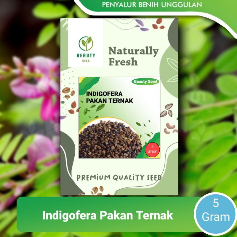 Jual 5gram Biji Benih INDIGOFERA SUPER - Pakan Ternak Indigofera ...