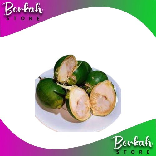 Jual Buah Pinang / Jambe muda segar 1 kg Fresh dipetik dadakan toko ...