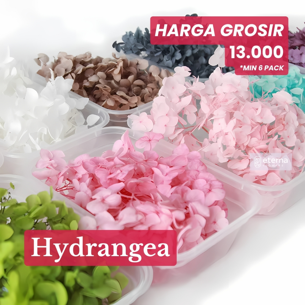 Jual [2 GRAM] PRESERVED HYDRANGEA GRADE A / BUNGA KERING AWETAN ...