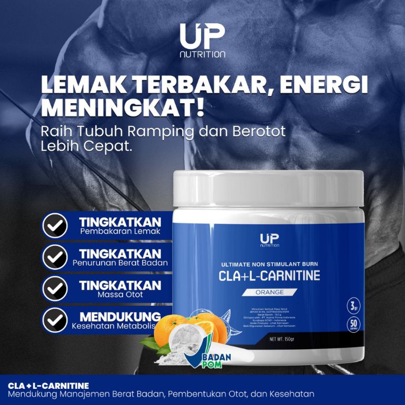 Jual Up Nutrition CLA + L-Carnitine Fat Burner non stimulan 50 Serving ...