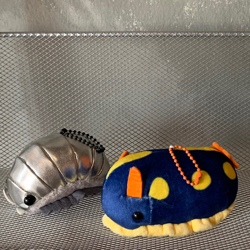Jual Keychain hewan laut isopod original dangomushi | Shopee Indonesia