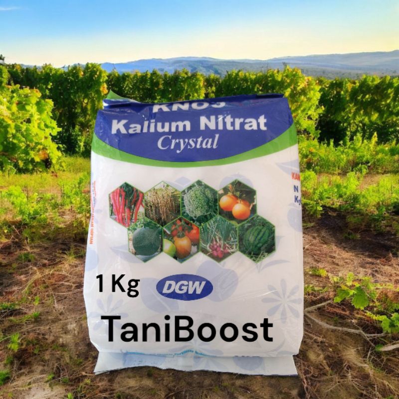 Jual DGW KNO3 - Kalium Nitrat Murni untuk Pertumbuhan Optimal Tanaman ...