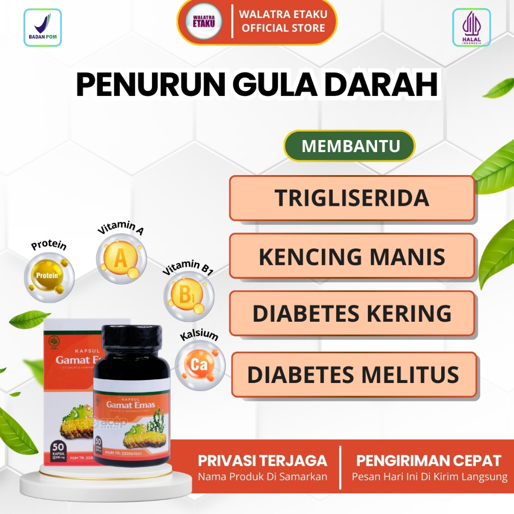 Jual Kapsul Gamat Emas Obat Penurun Gula Darah Tinggi Penyakit Kencing ...