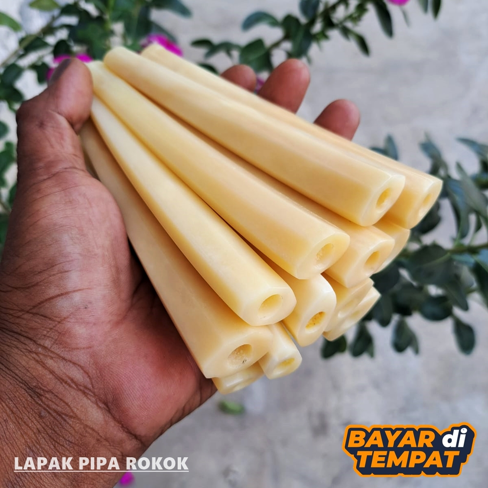 Jual Once Pipa Pipo Tulsap Tulang Import Segi Mulus | Shopee Indonesia