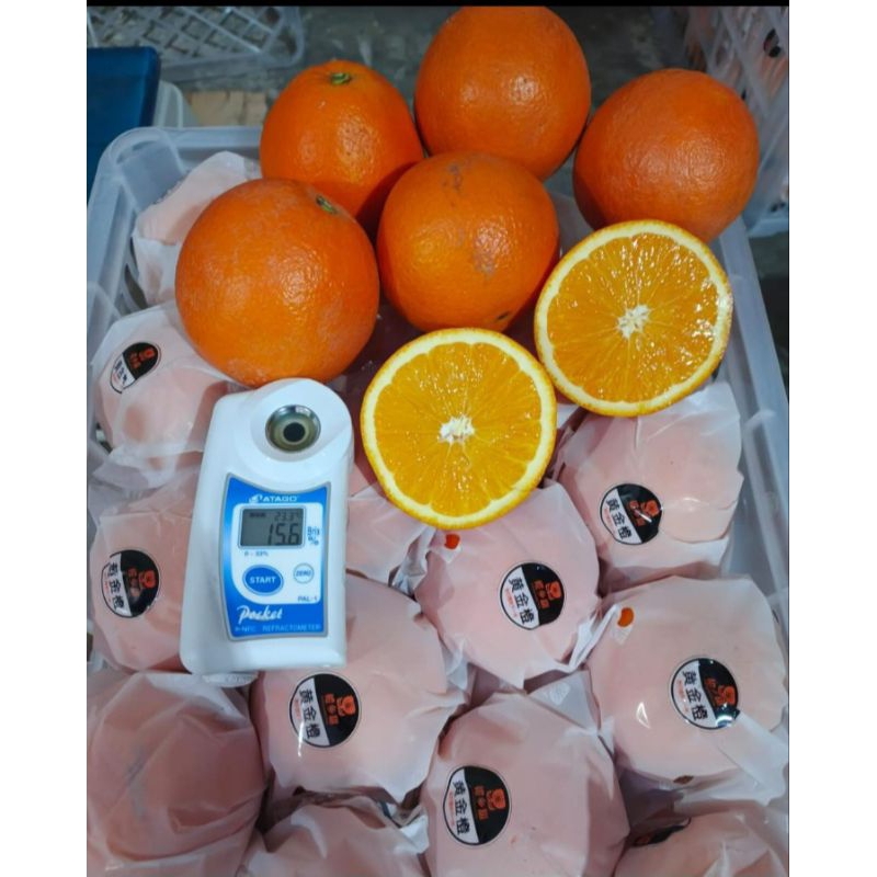 Jual JERUK SUNKIST NAVEL FRESH 1KG | Shopee Indonesia