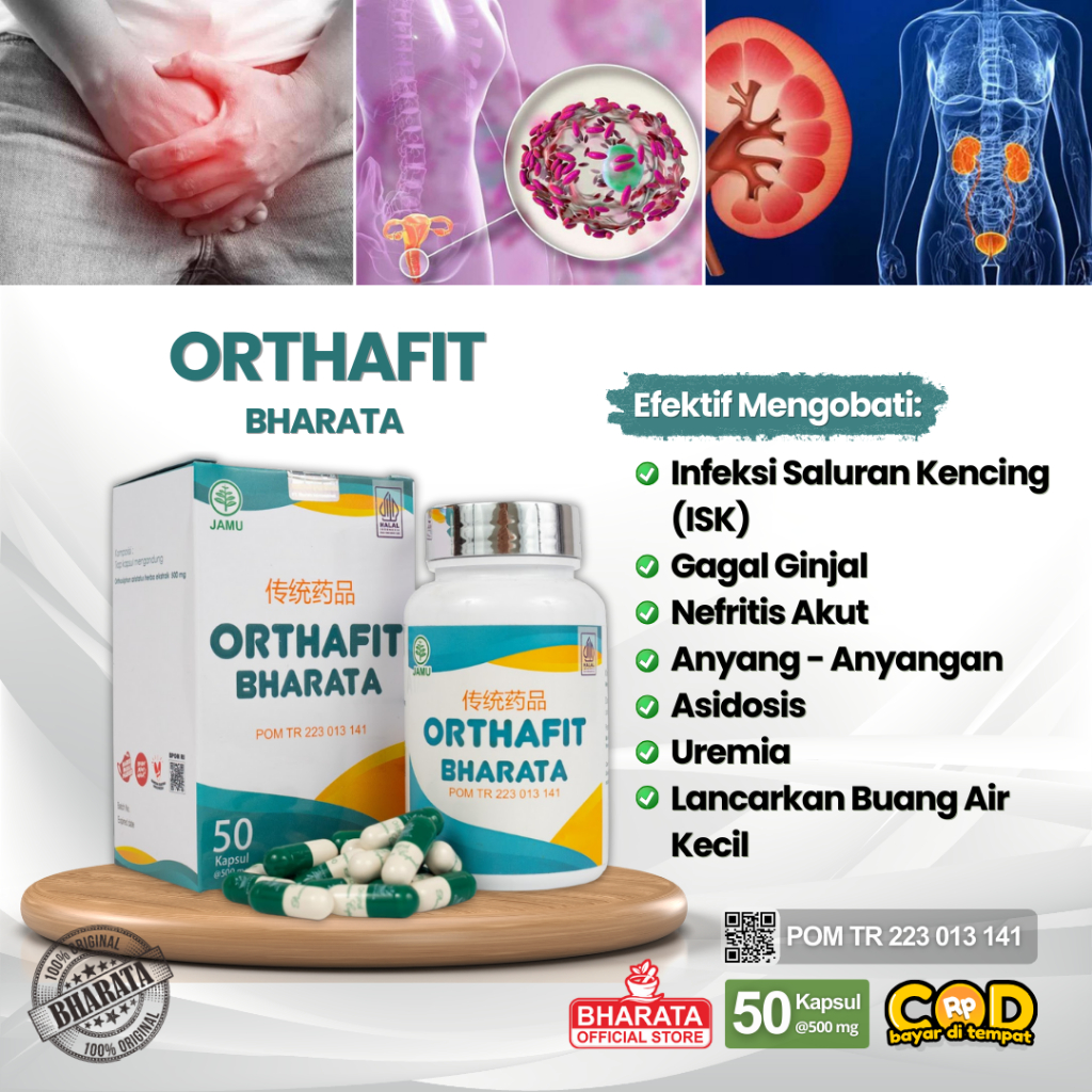 Jual Orthafit Bharata - Kemasan 50 Kapsul @500mg Original | Shopee ...