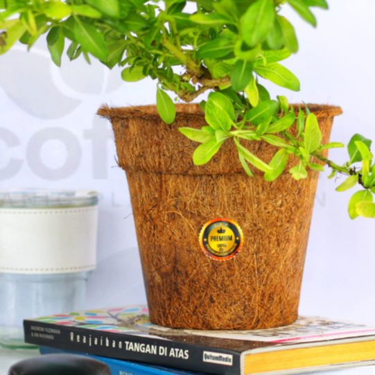 Jual POT BUNGA ESTETIK RAMAH LINGKUNGAN BULAT SEDANG CRAFTING POT ...