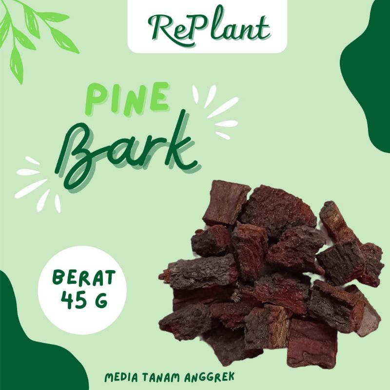 Jual RePlant - Pine Bark Media Tanam Anggrek 45 g | Shopee Indonesia