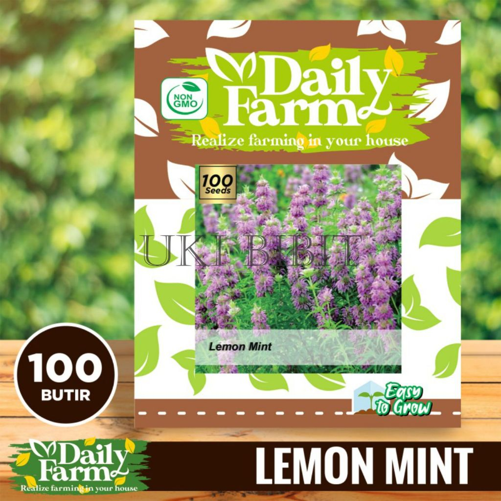 Jual Kemasan Original | Benih Biji Lemon Mint | Shopee Indonesia