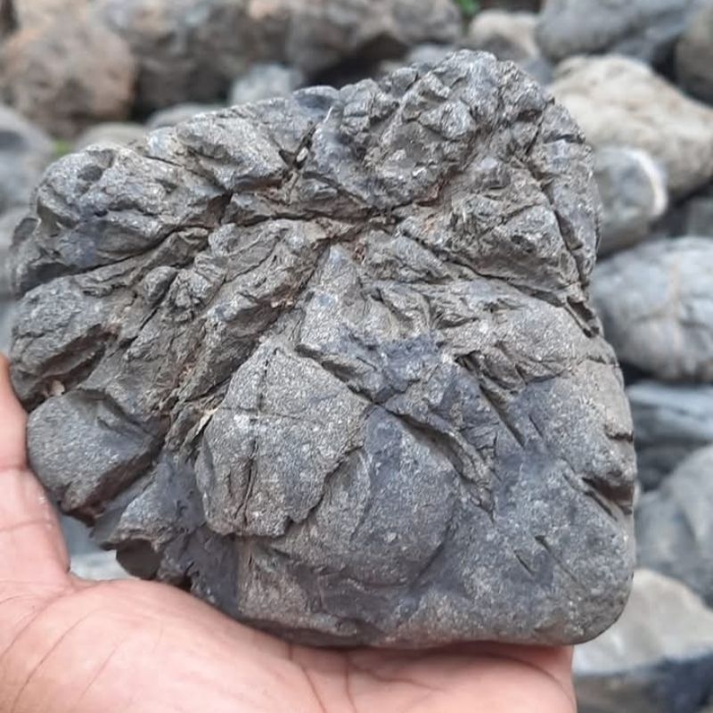 Jual batu truly stone batu aquascape aquarium 1kg | Shopee Indonesia