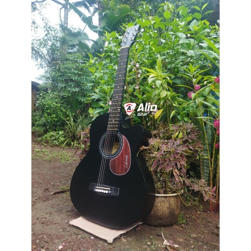 Jual Gitar Tanam Besi | Shopee Indonesia