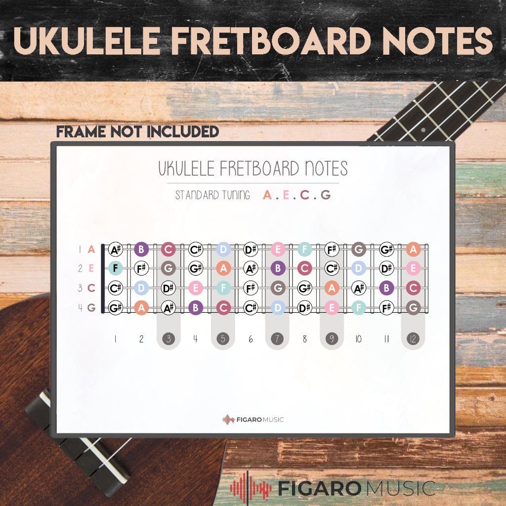 Jual Poster Ukulele Fretboard Notes Chart | Shopee Indonesia