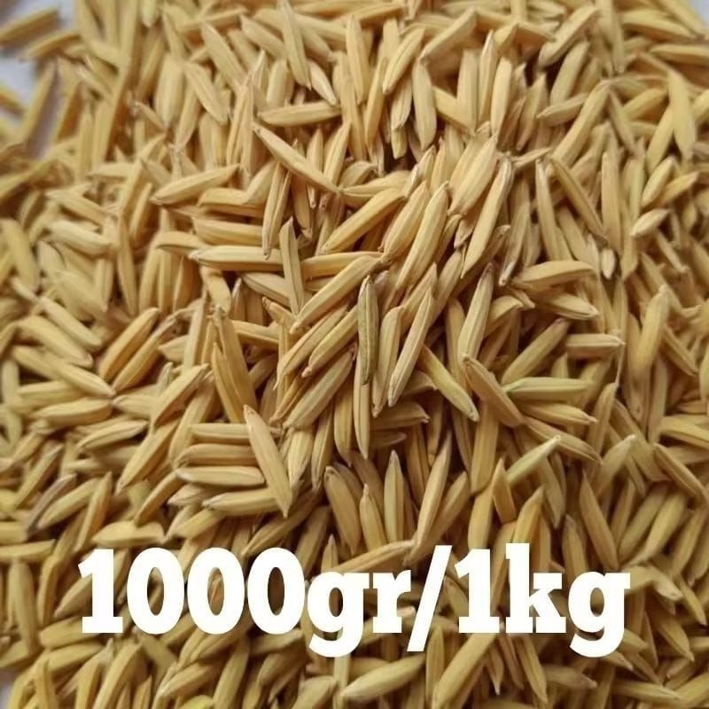 Jual BENIH PADI BASMATI 1KG (basmati rice) asli India / pakistan ...
