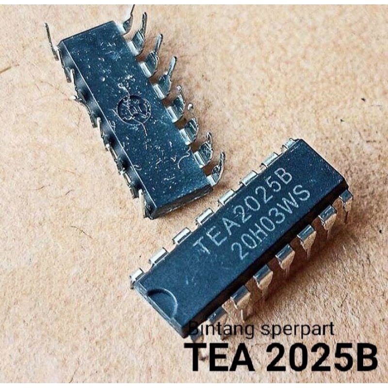 Jual IC TEA 2025B TEA 2025 TEA 2025B AMPLIFIER STEREO AUDIO | Shopee Indonesia