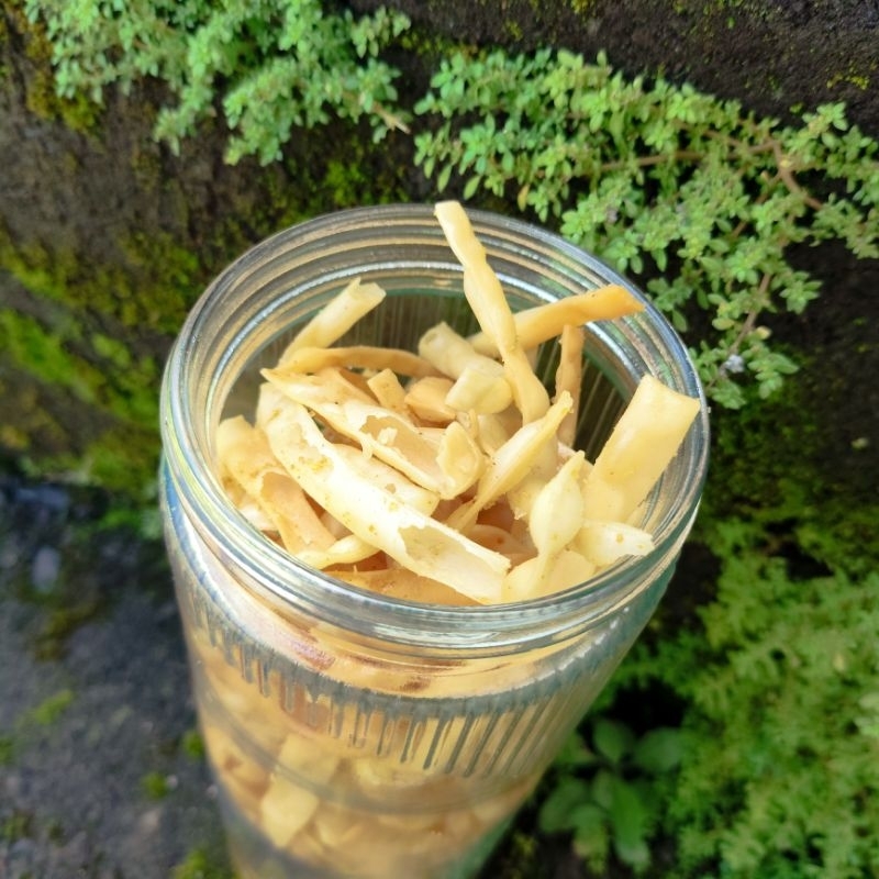 Jual Stik Pangsit Bawang - Rasa Original - ½ Kg | Shopee Indonesia