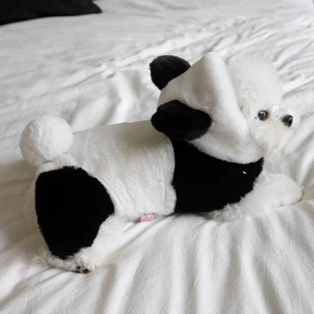 Jual Baju Kostum Anjing Panda | Shopee Indonesia
