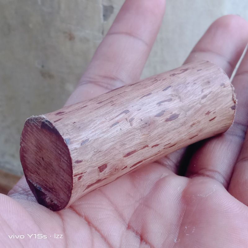 Jual Potongan kayu stigi asli tenggelam di air sejuta hasiat dan ...