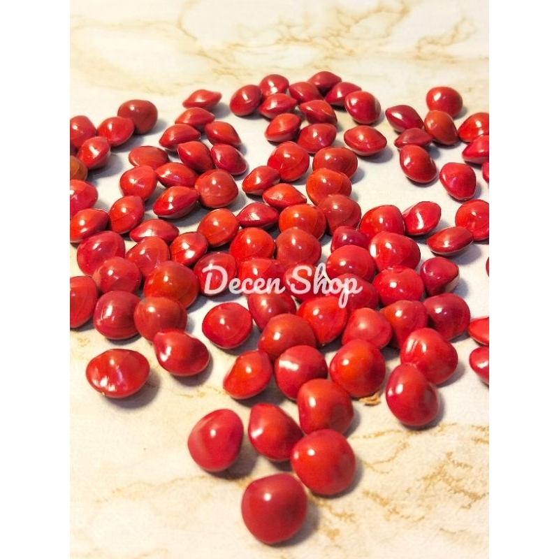 Jual BIJI SAGA UNTUK KOLASE ANAK-ANAK | Shopee Indonesia