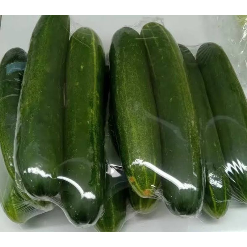 Jual Timun Segar 1 Kg Hijau Fresh | Shopee Indonesia