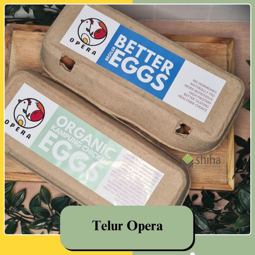 Jual SHIHA- Opera Organic Egg - TELUR AYAM KAMPUNG & TELUR AYAM BROILER ...
