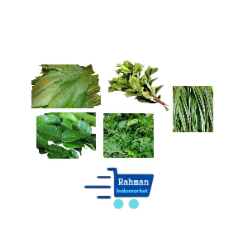 Jual DAUN pandan, ruku-ruku, daun jeruk, daun salam, daun kunyit, daun ...