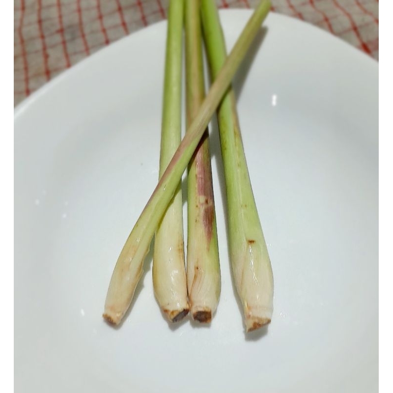 Jual Serai Segar 250gram | Shopee Indonesia