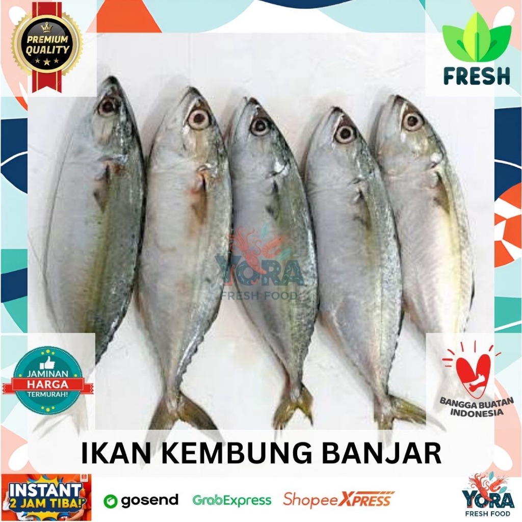 Jual IKAN KEMBUNG BANJAR 500GR SUPER FRESH FROZEN INSTAN | Shopee Indonesia
