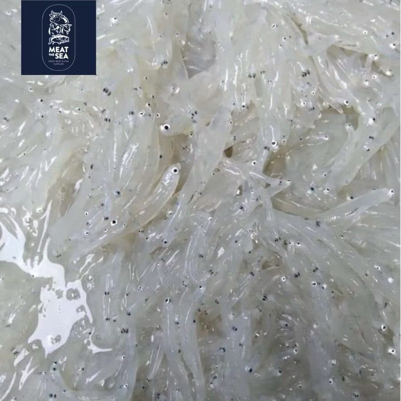 Jual [IKAN SEGAR] Teri Nasi Basah Kualitas Premium MPASI | Shopee Indonesia