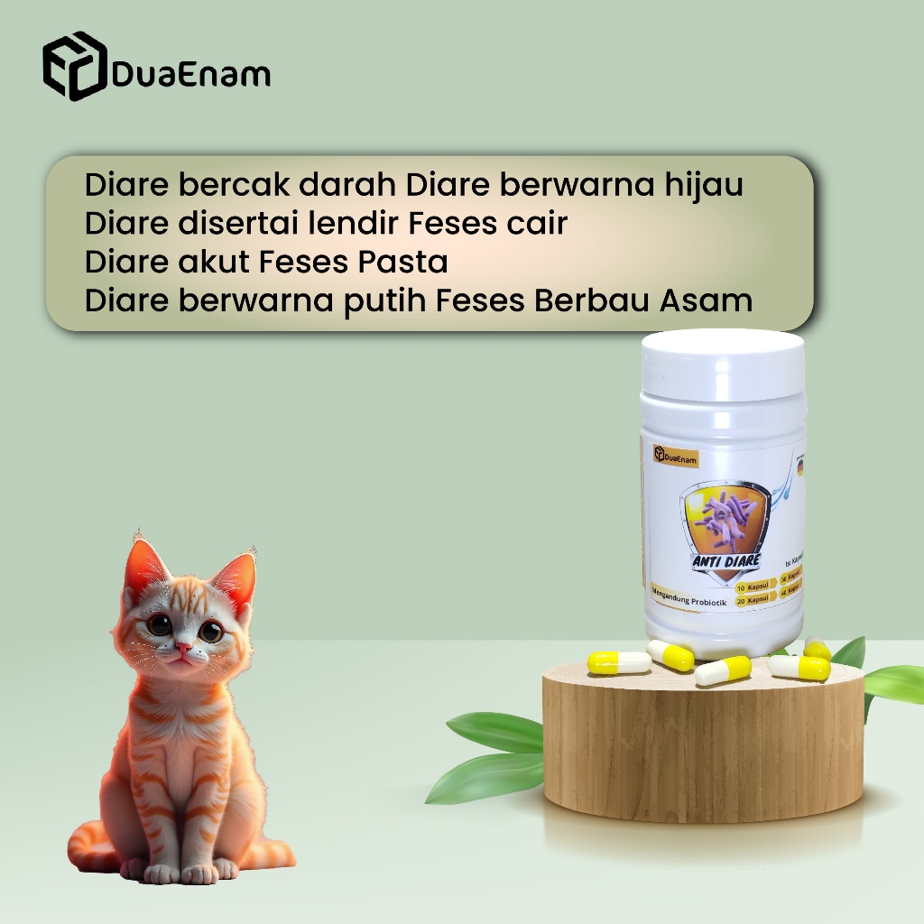 Jual DUAENAM SUPLEMENT ANTI DIARE KITTEN 10 kapsul obat mencret lemas ...