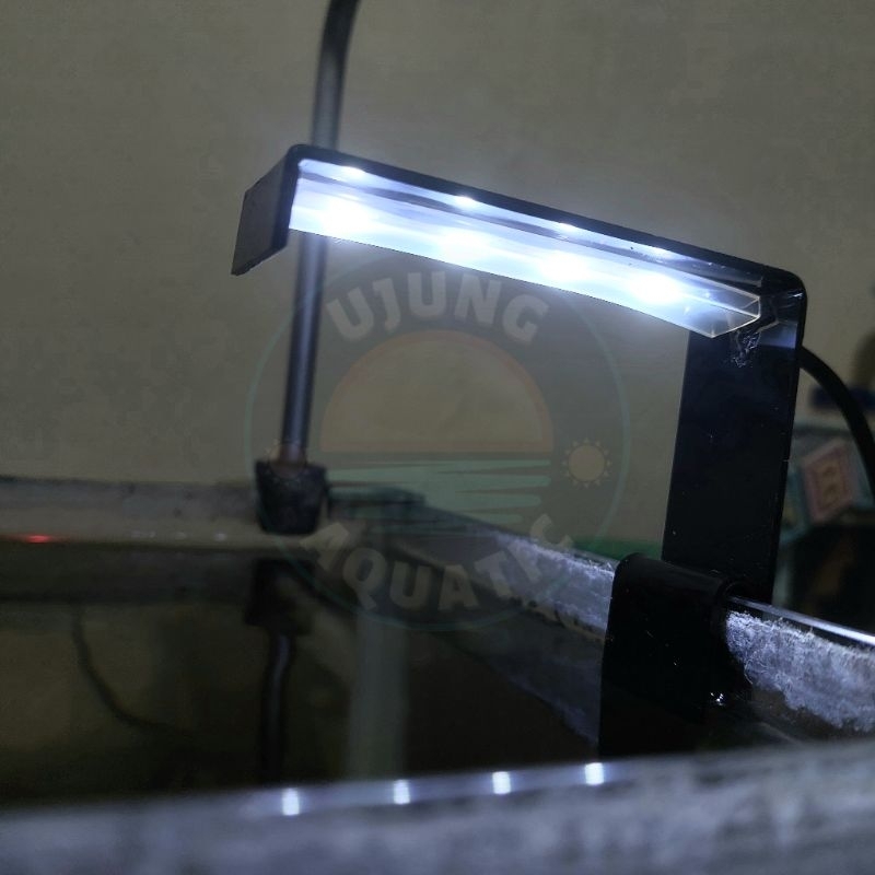 Jual Lampu Aquarium Mini LED USB Soliter Cupang Guppy Molly | Shopee ...