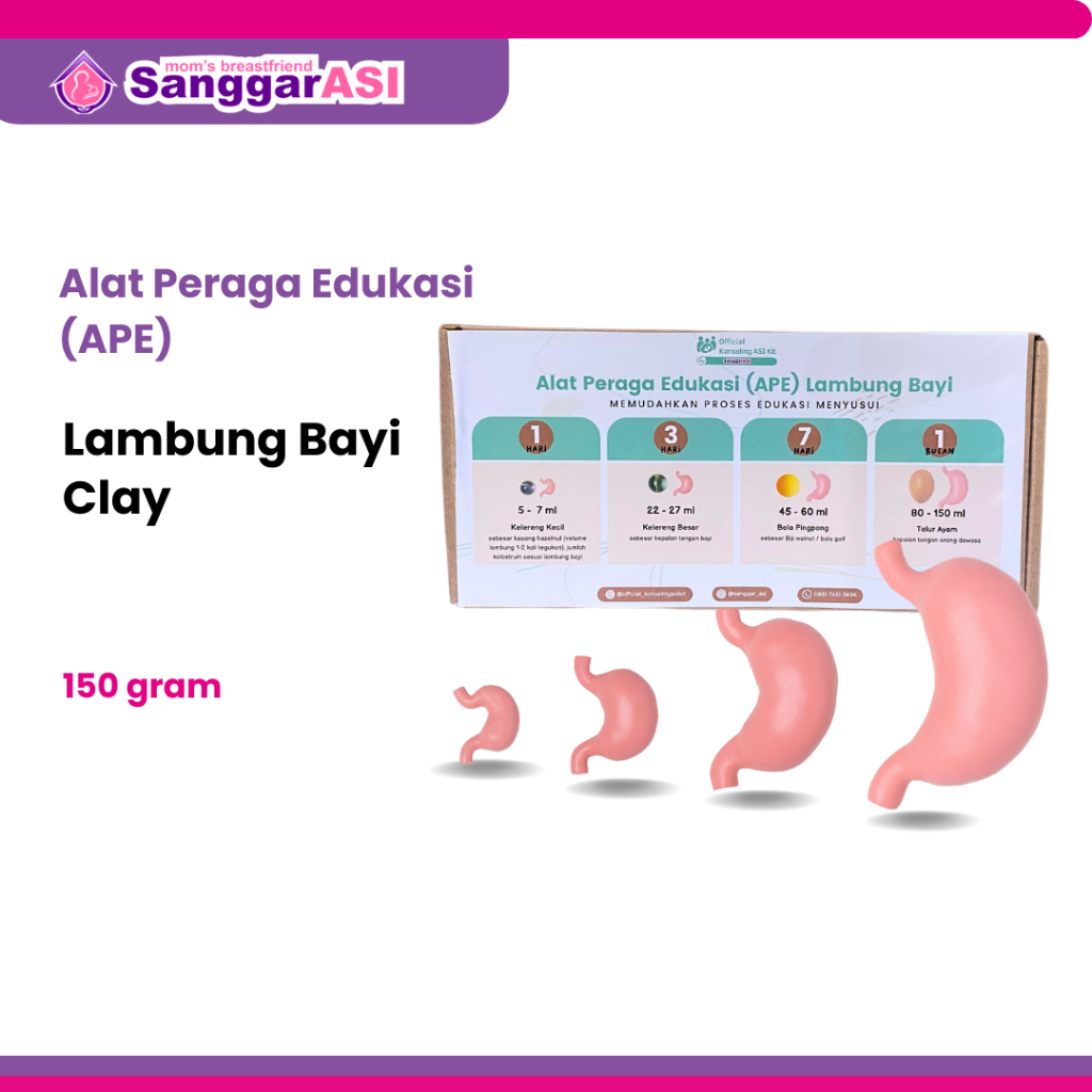 Jual [Sanggar ASI] APE) Ukuran Lambung Bayi Clay Exclusive Handmade ...